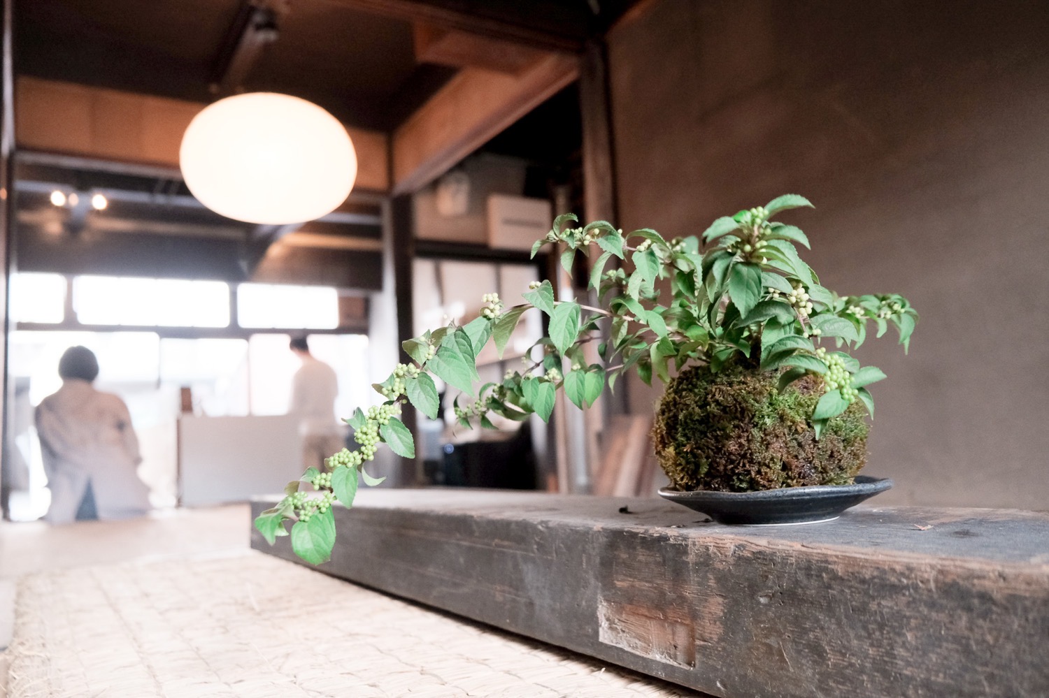 ARCHI coffee and wine[京都市中京区／丹波口駅・西院駅]古民家を改装した自由に過ごせる空間 | Bambi Cafelife